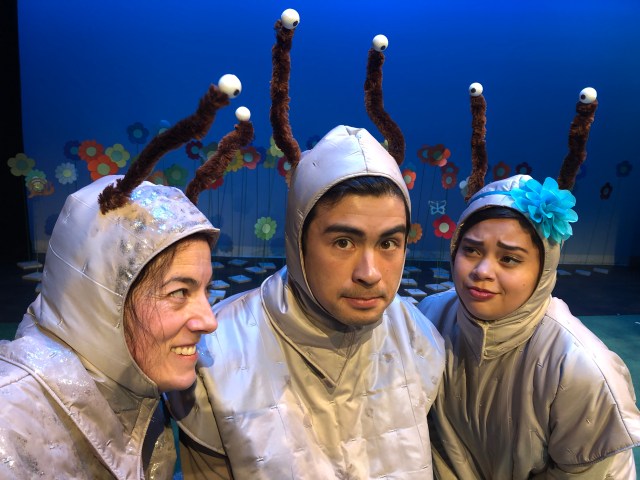 Mighty oaks from tiny acorns…. Concrete’s Sprouts Festival returns ...