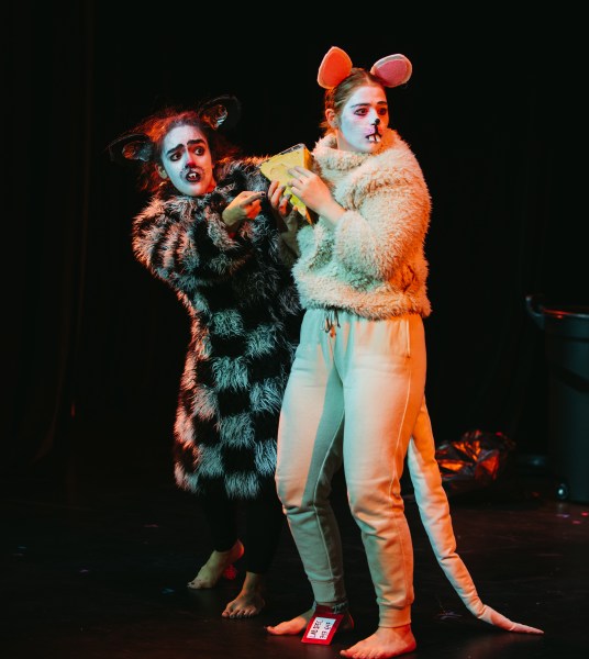 In this comic gem, meet the ultimate outsiders: Rat Academy, a Fringe review | 12thNight.ca